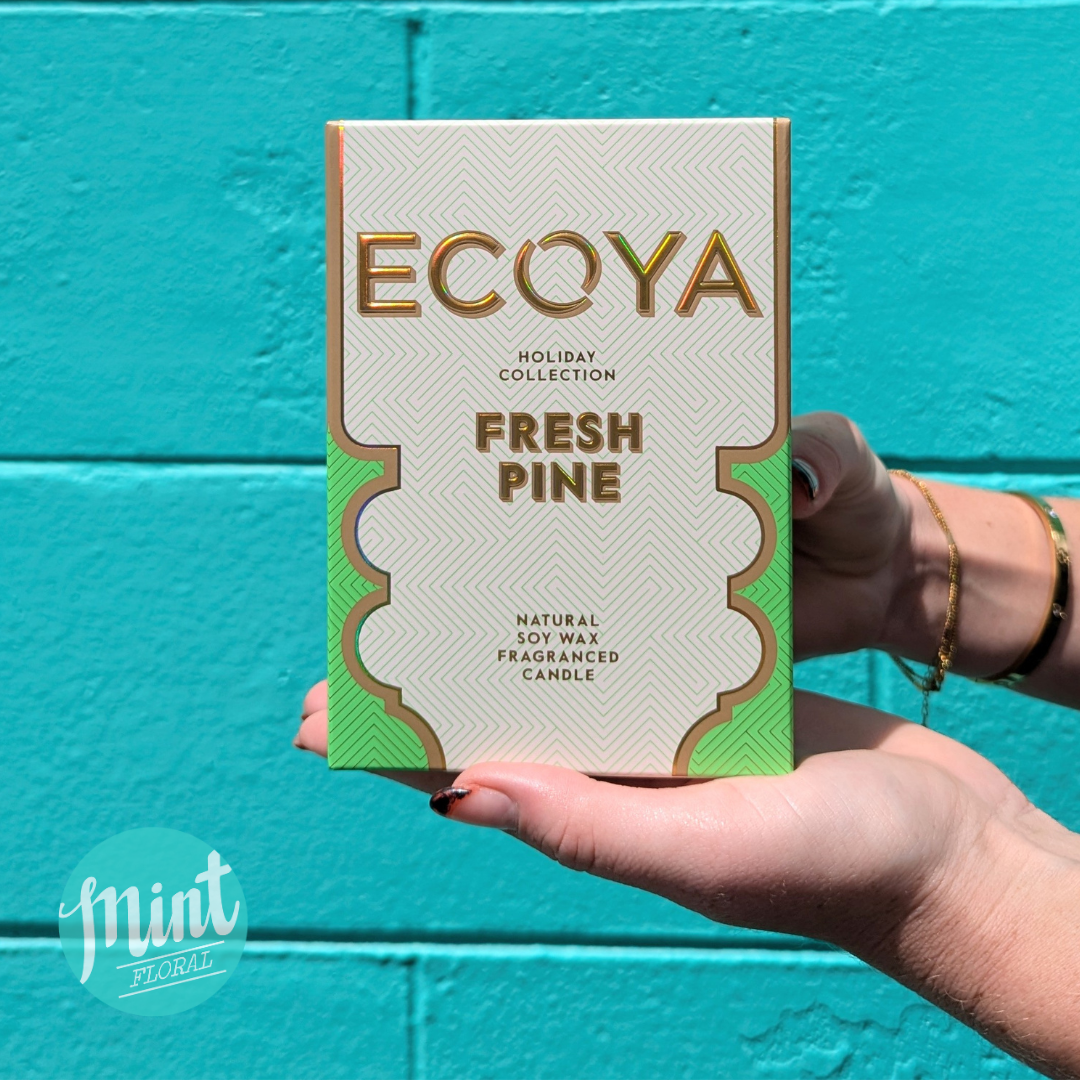 Ecoya Holiday Collection Limited Edition - FRESH PINE Large Goldie Can ...