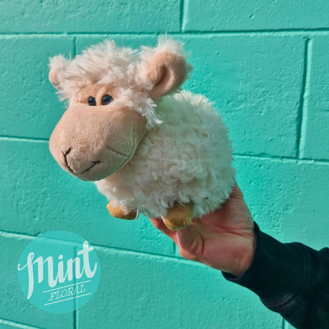 Plush Fluffy Sheep — Mint Floral NZ